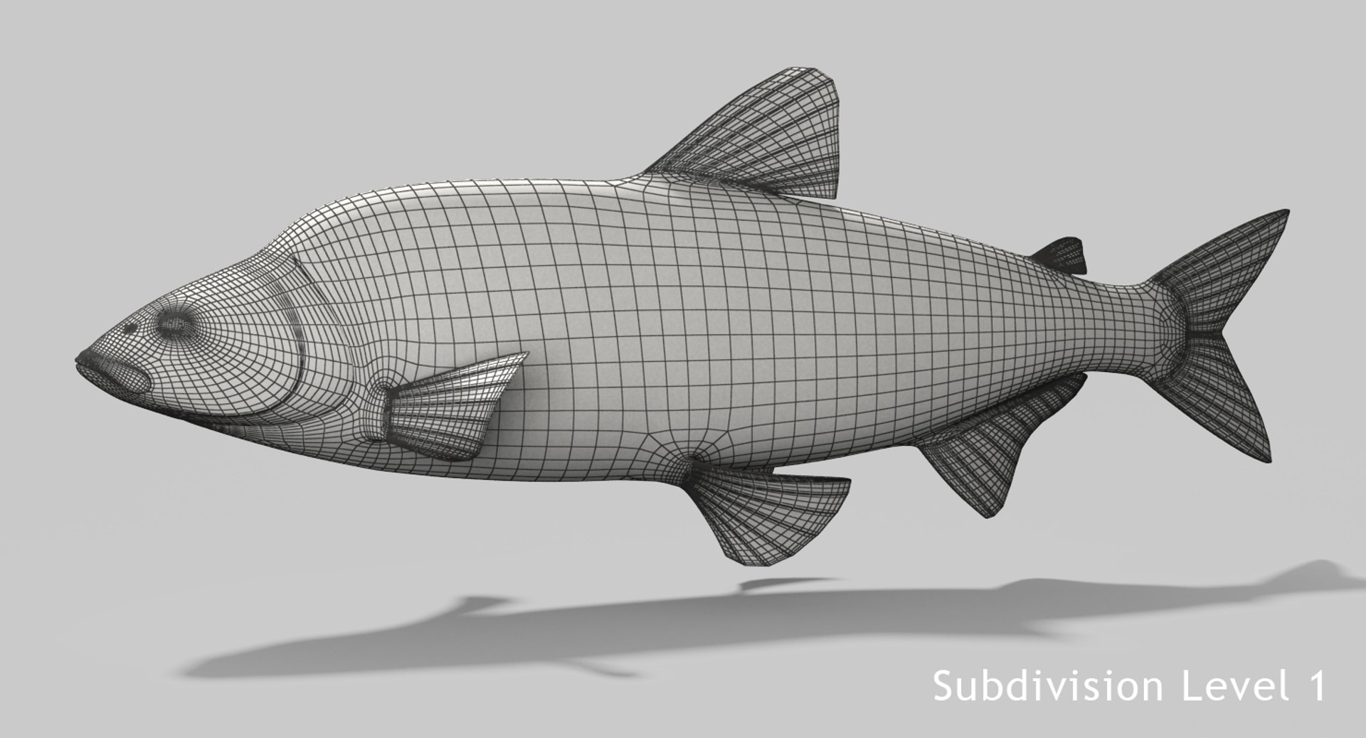 Muksun Fish Animation Max