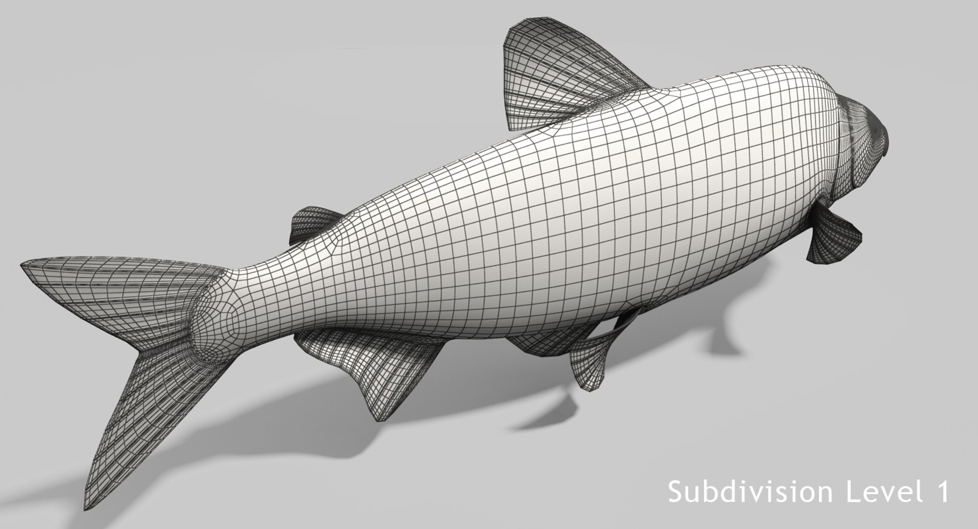 Muksun Fish Animation Max