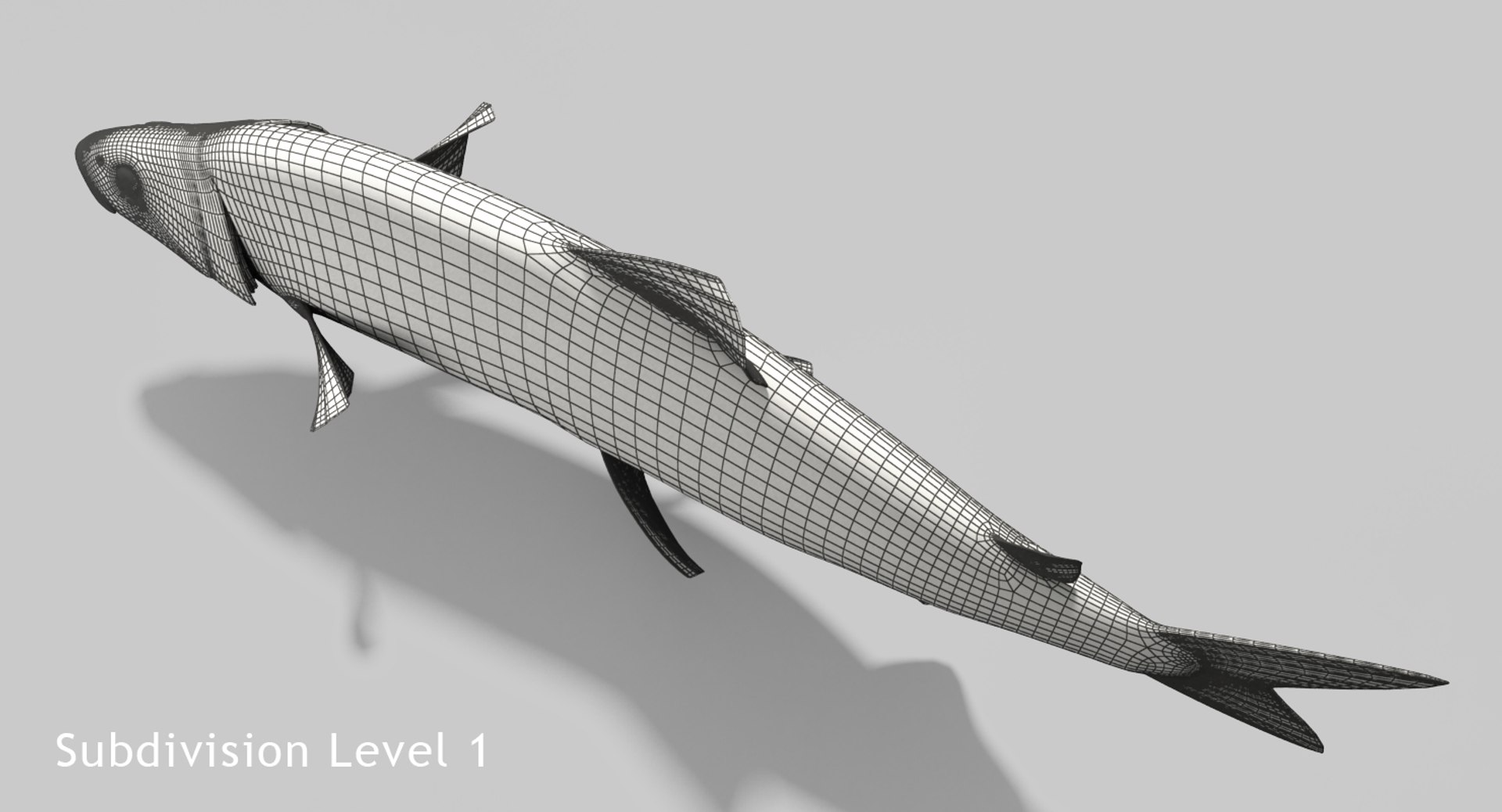 Muksun Fish Animation Max