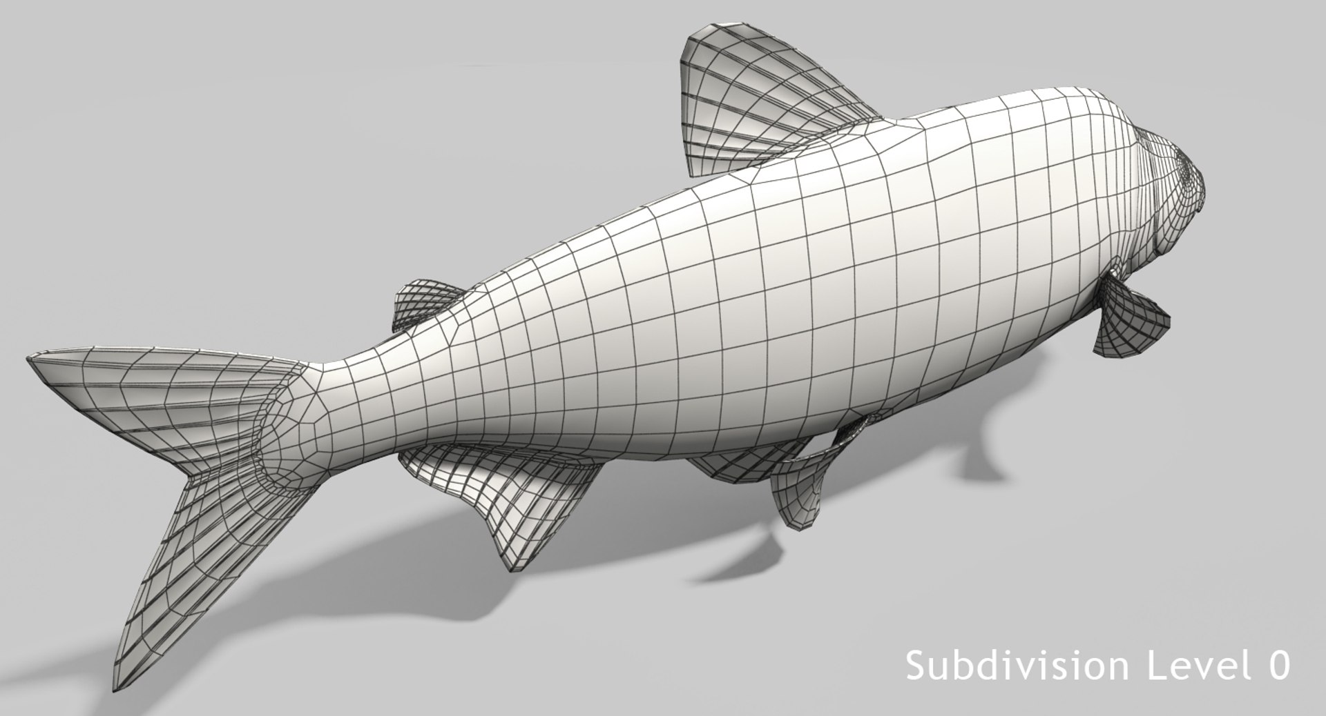Muksun Fish Animation Max