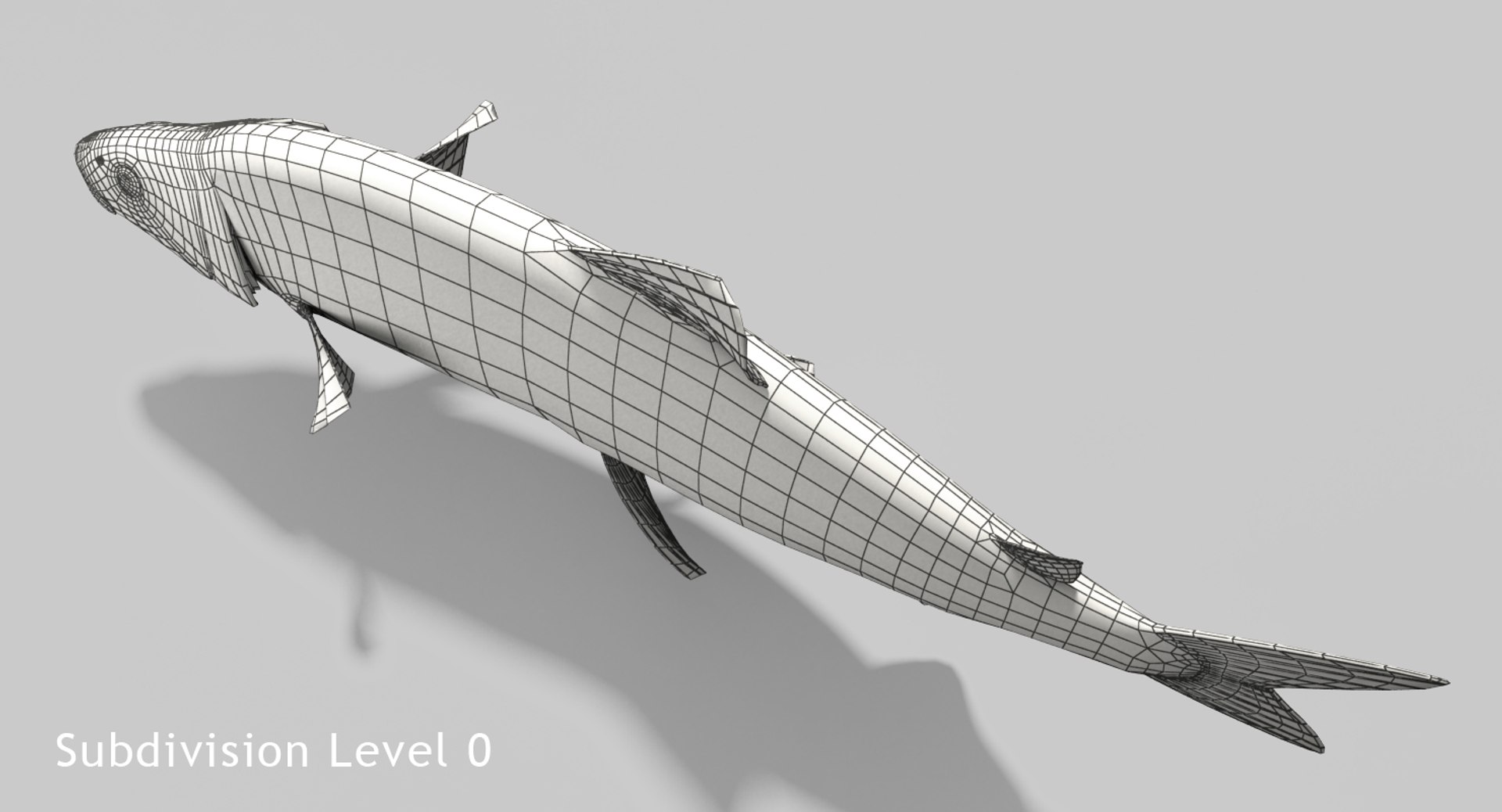 Muksun Fish Animation Max