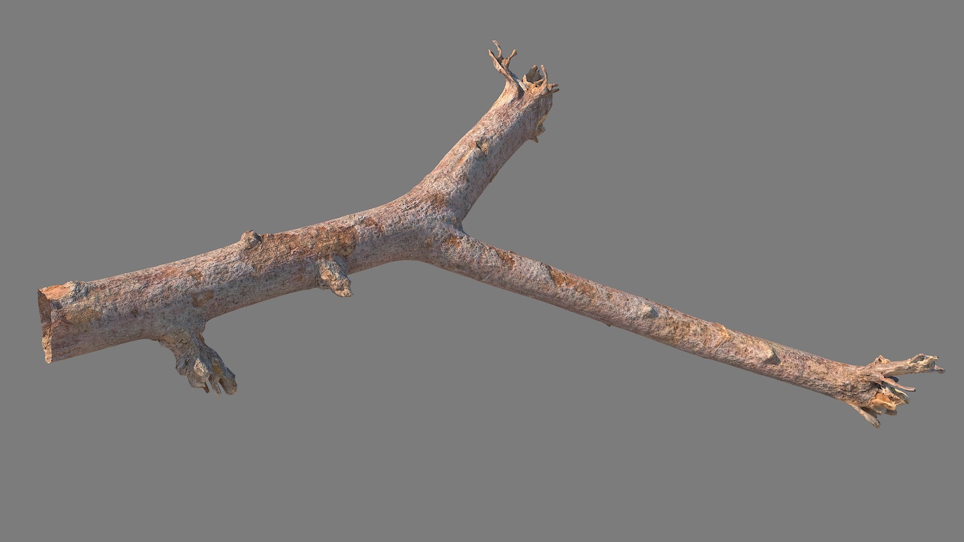 3D Twig Scanned 36 Model - TurboSquid 2088214