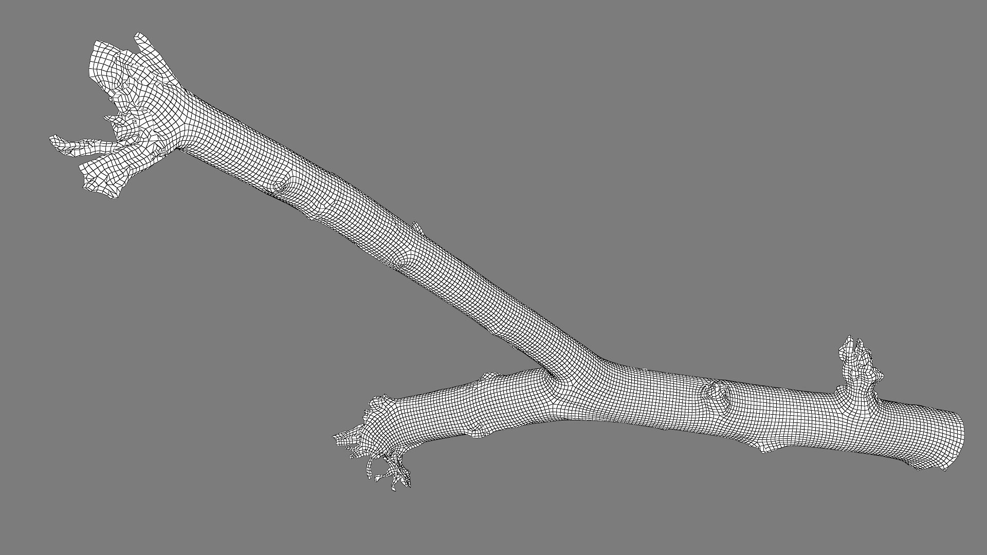 3D Twig Scanned 36 Model - TurboSquid 2088214