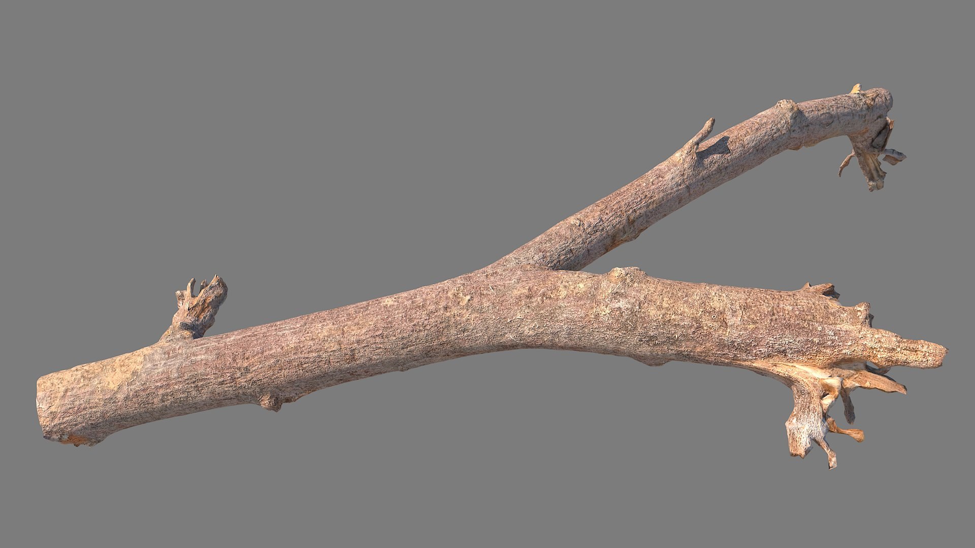 3D Twig Scanned 36 Model - TurboSquid 2088214