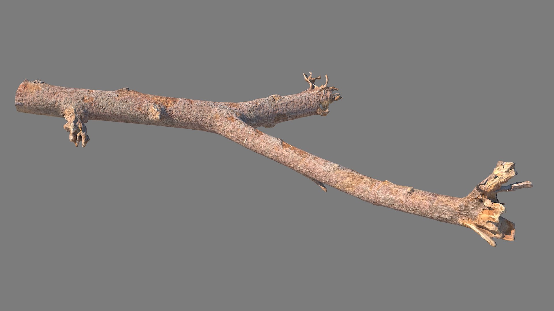 3D Twig Scanned 36 Model - TurboSquid 2088214