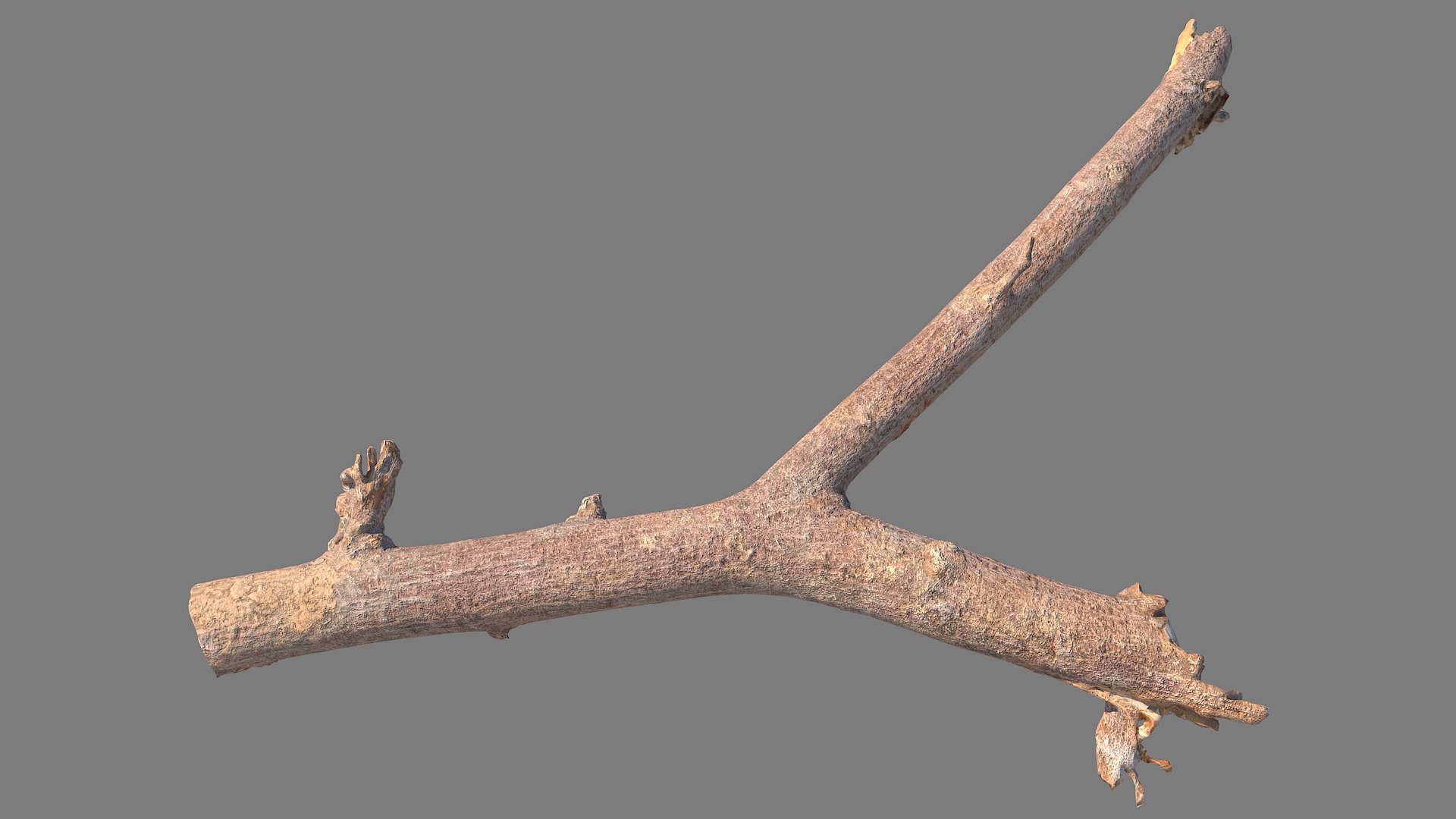 3D Twig Scanned 36 Model - TurboSquid 2088214