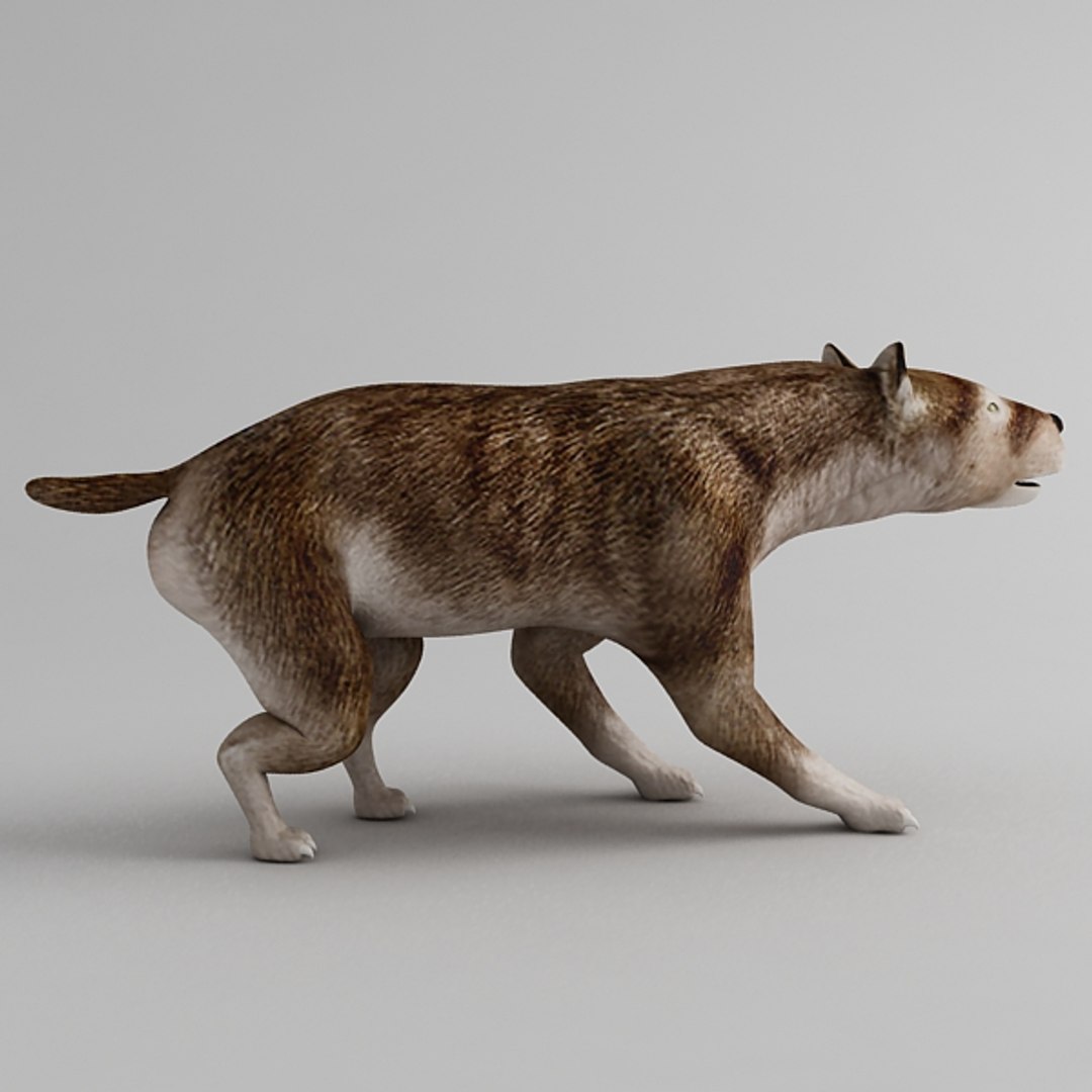 Free Obj Model Hemicyon