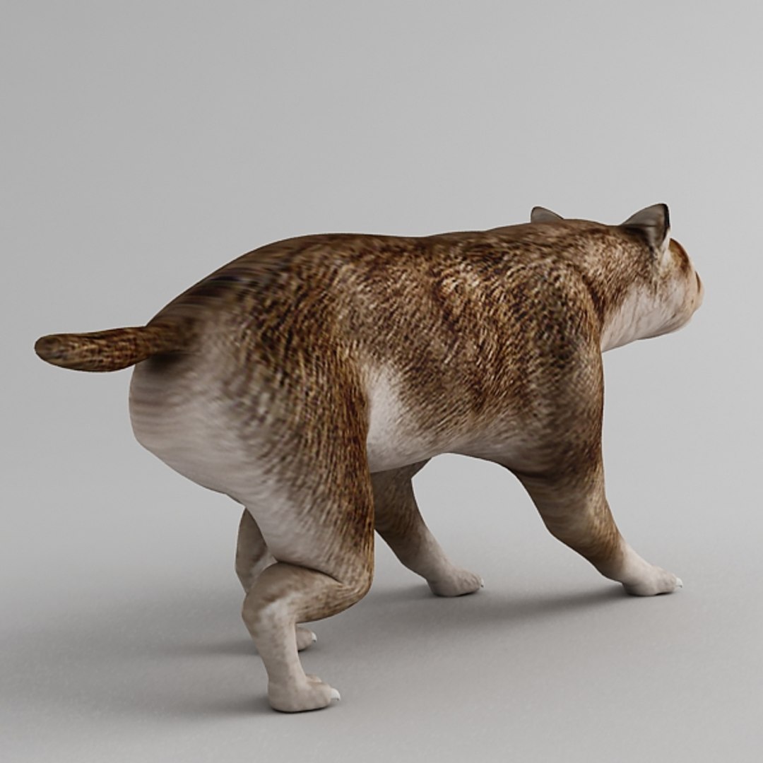 Free Obj Model Hemicyon