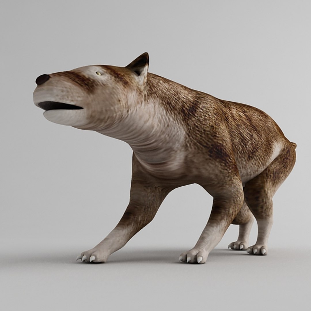 Free Obj Model Hemicyon