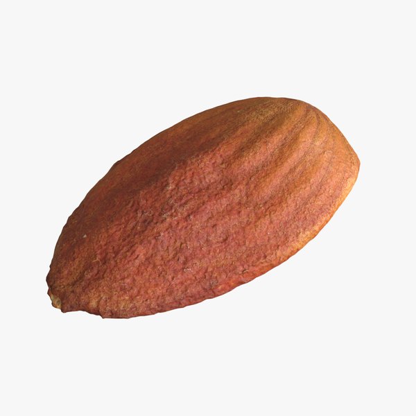 modelo 3d Almendra 2 - TurboSquid 2145407