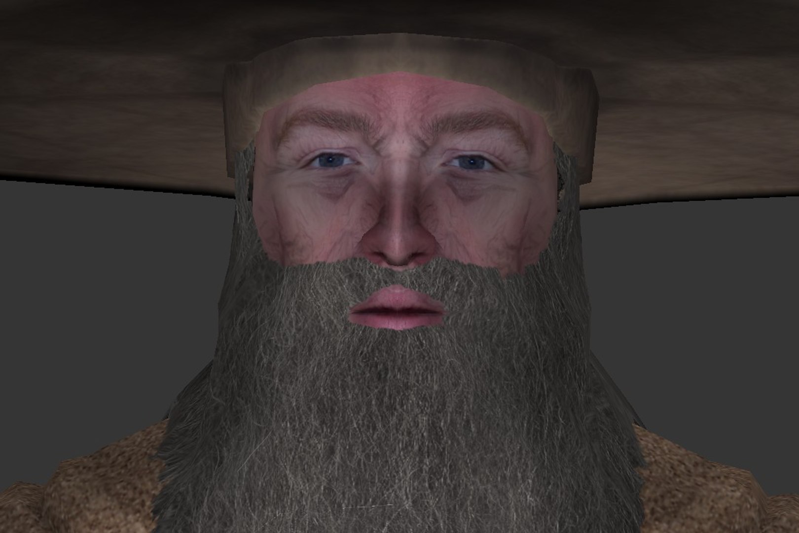 maya wizard character run