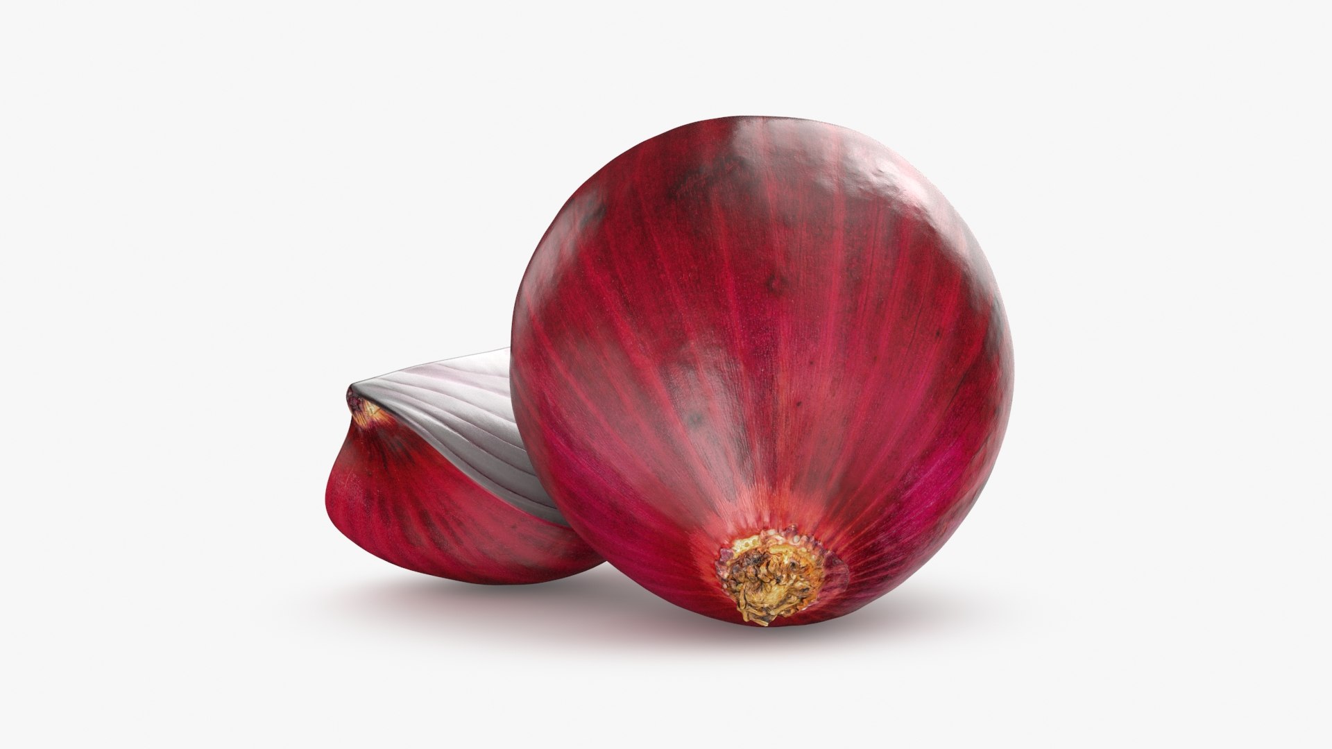 Red Onions 02 3D Model - TurboSquid 2147358