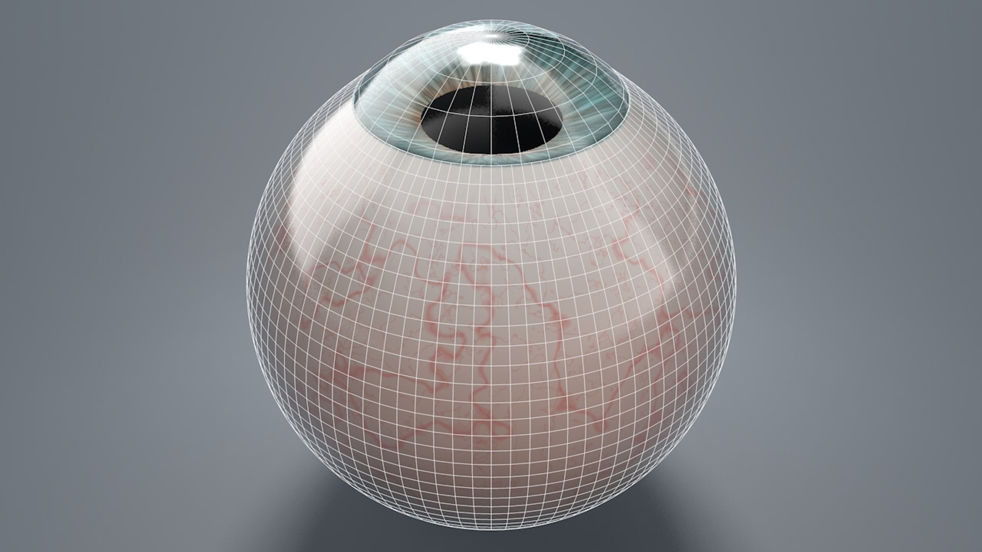 3D Eyeball Blue Eye - TurboSquid 1677303