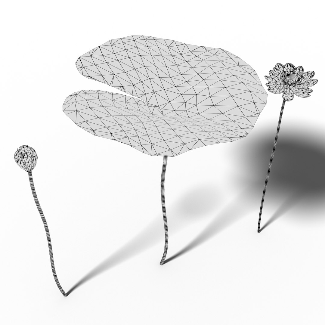 3D Lotus Lily Pad Model - TurboSquid 2062960
