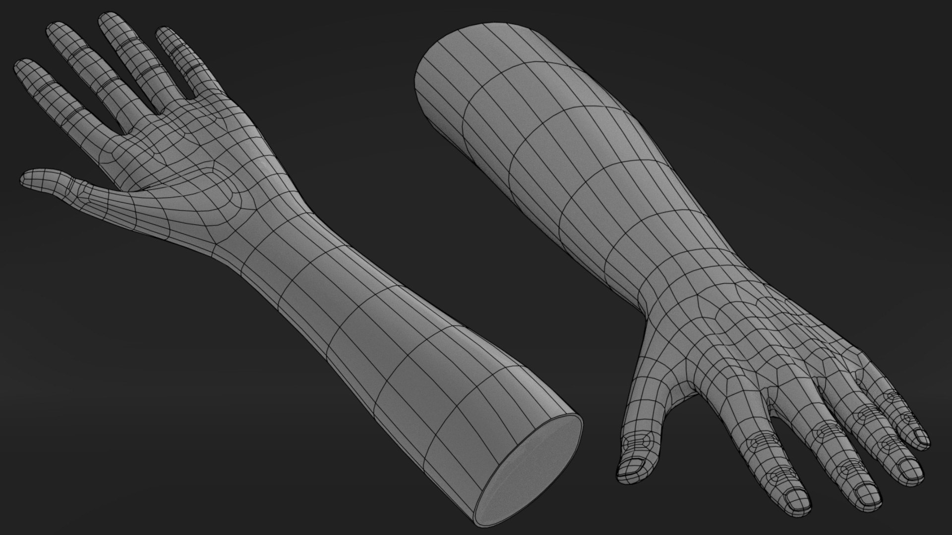 Realistic Hand 3D Model - TurboSquid 1201431