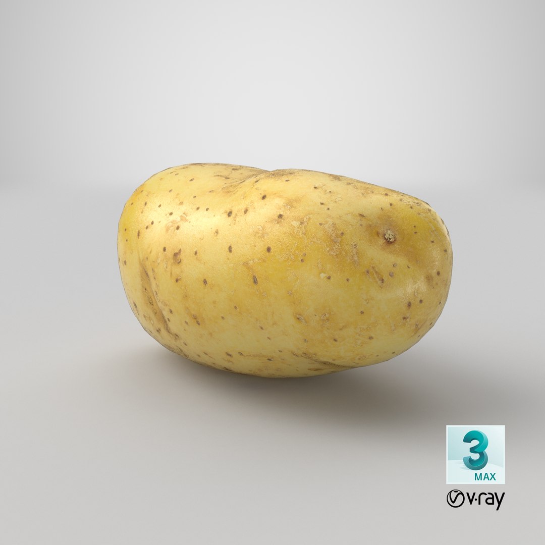 3D potato clean ready 04 - TurboSquid 1434299
