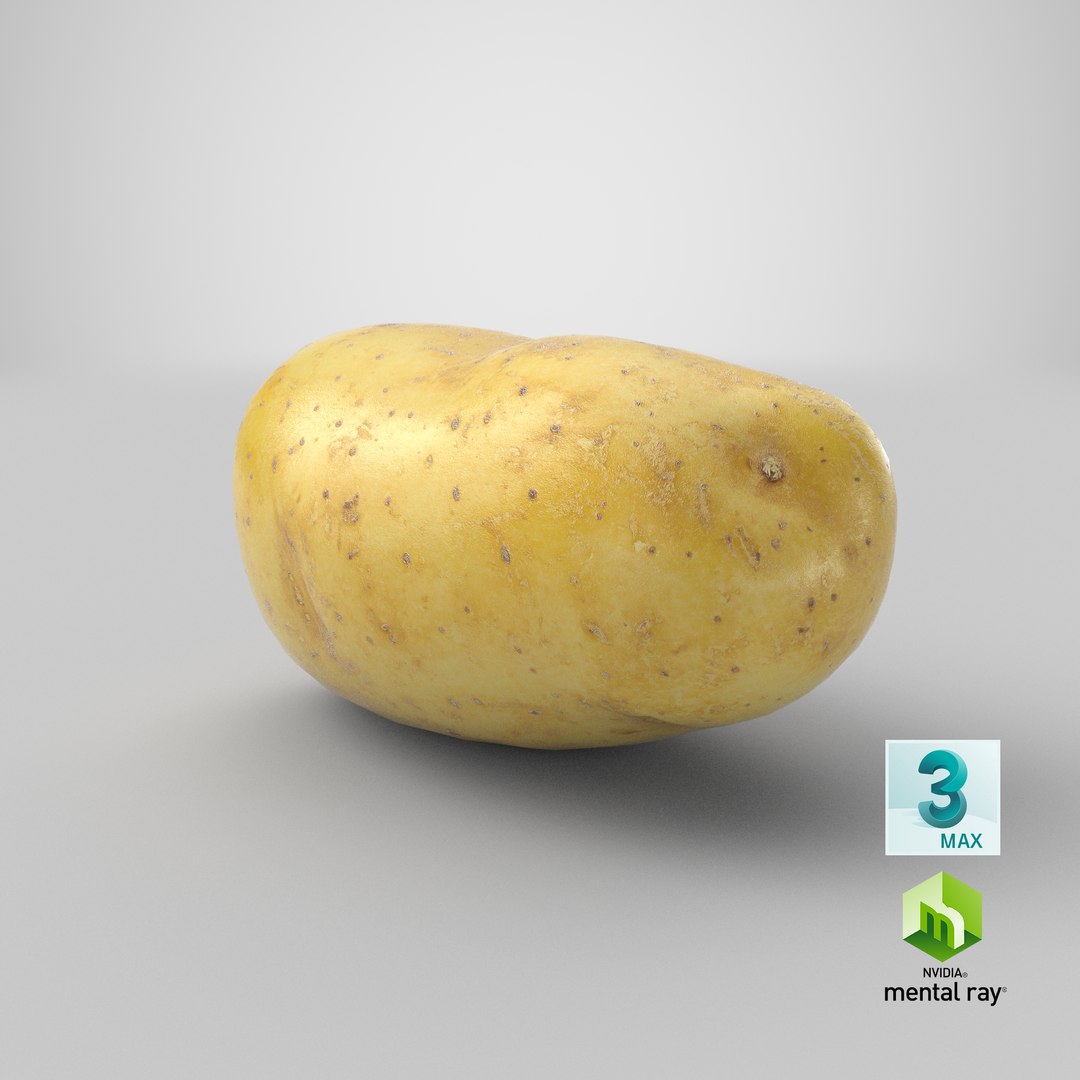 3D potato clean ready 04 - TurboSquid 1434299