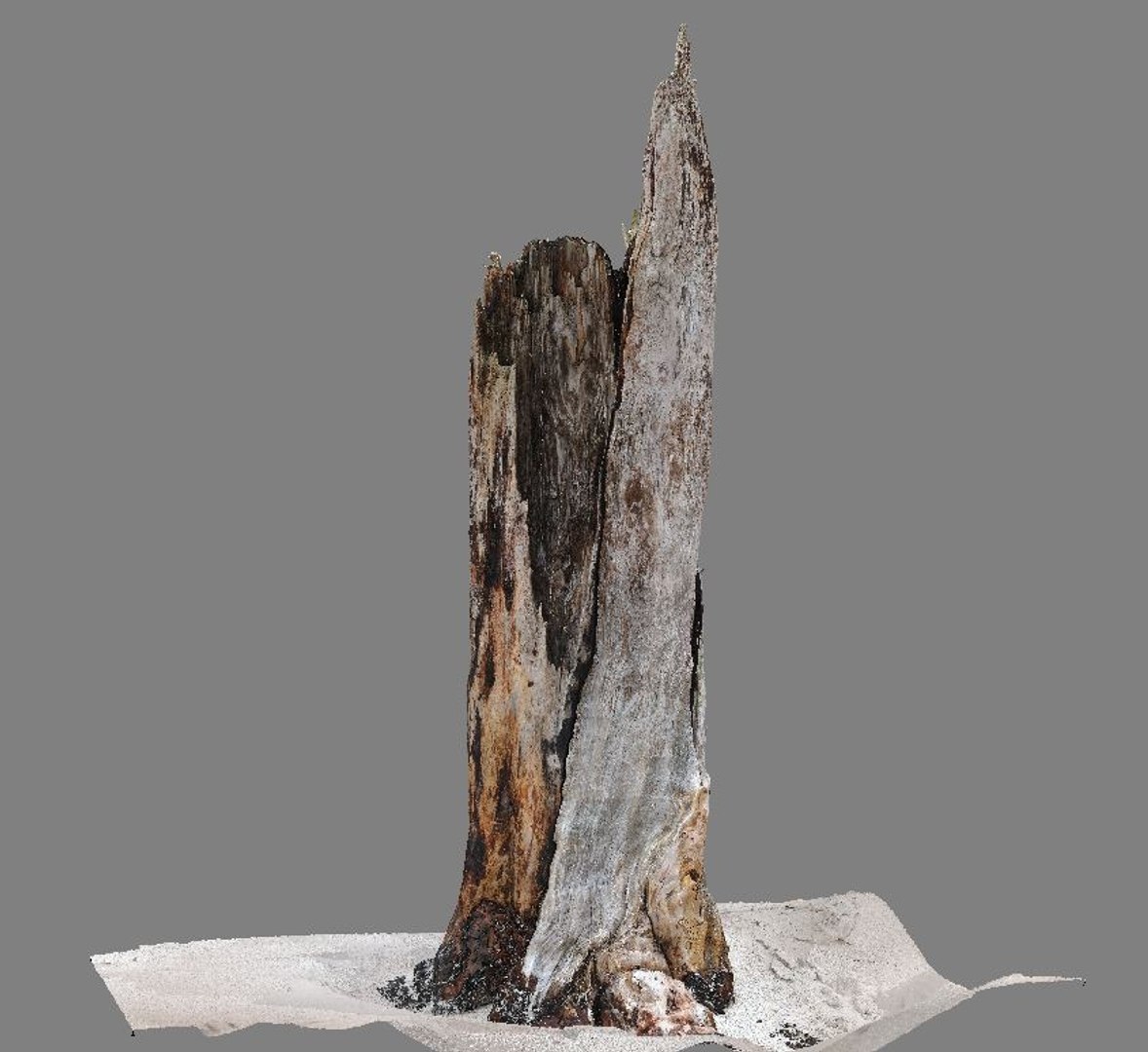 Root Photogrammetry Scan 3D Model - TurboSquid 1410982