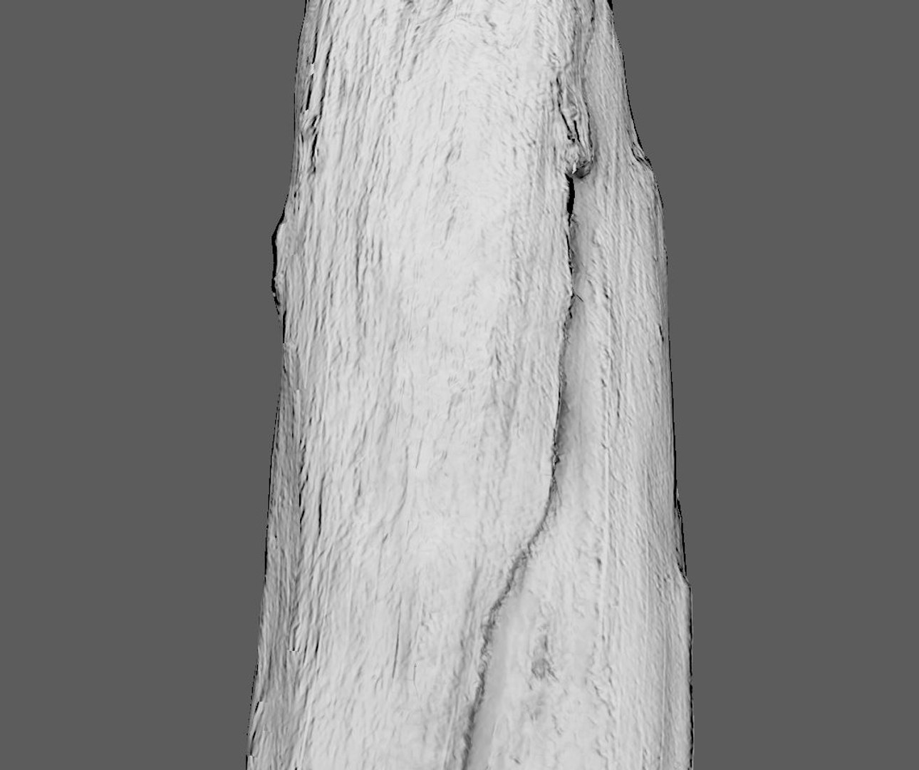 Root Photogrammetry Scan 3D Model - TurboSquid 1410982