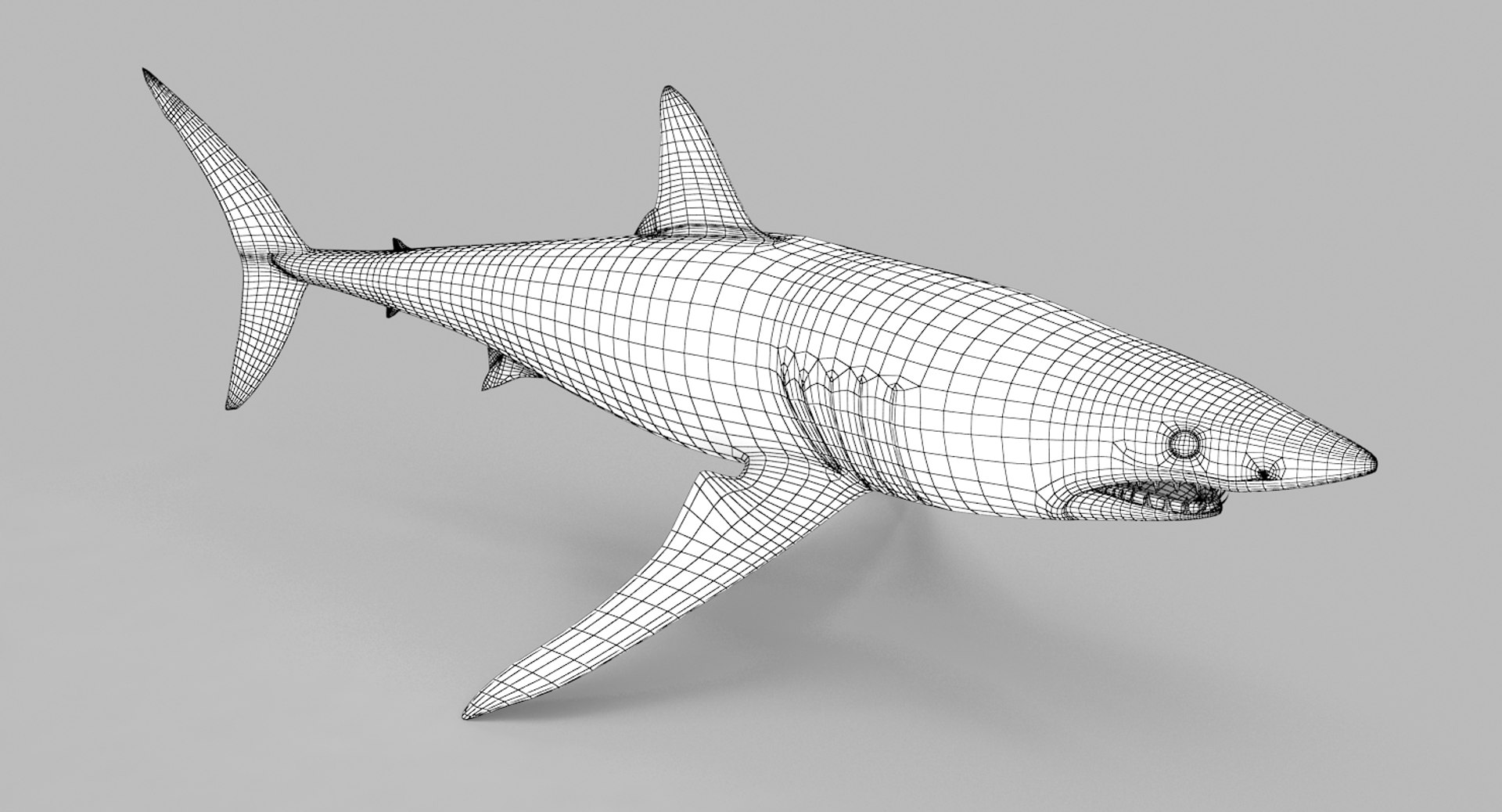 3D Model Mako Shark - TurboSquid 1174565