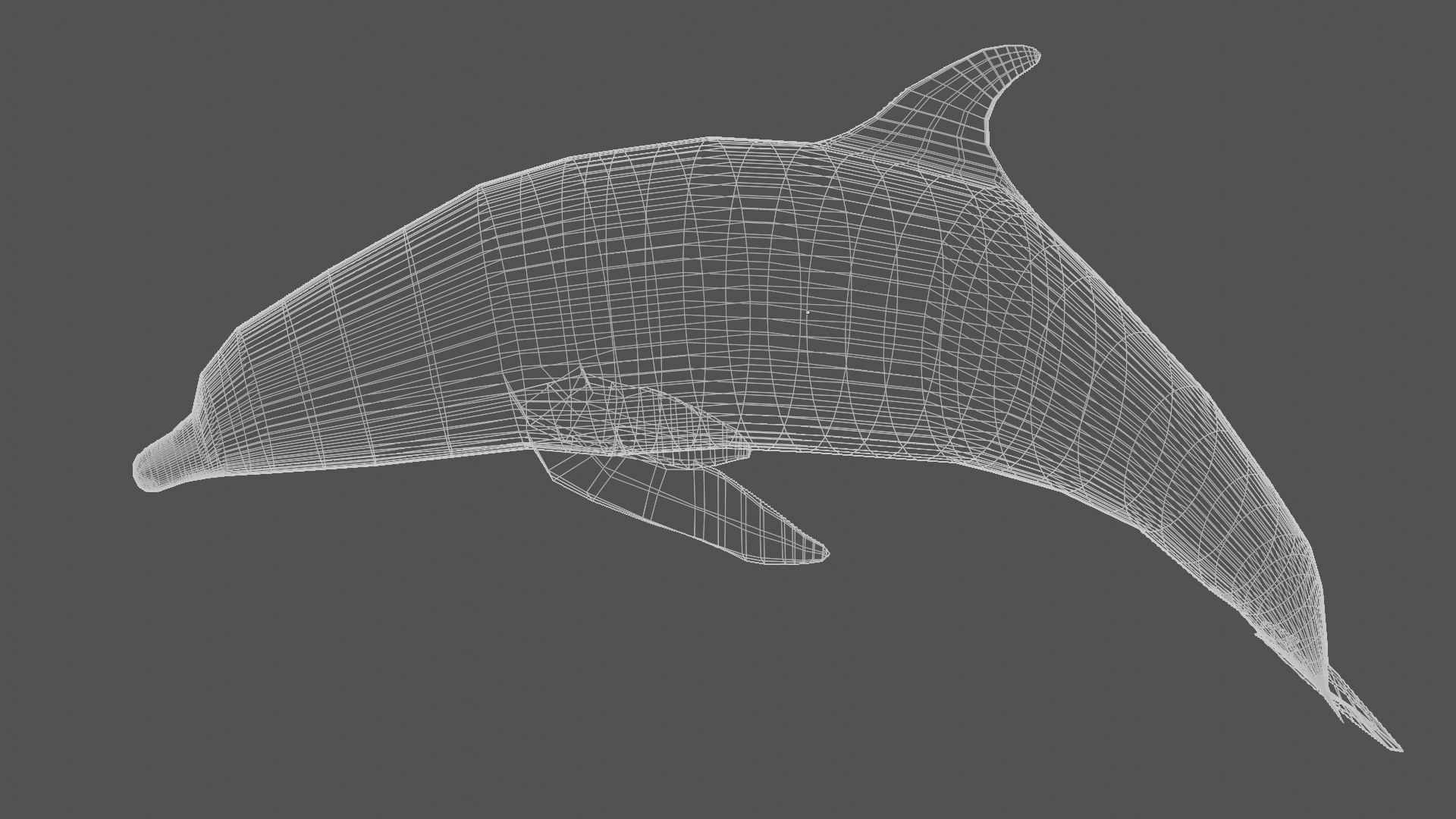Dolphin OBJ 3D Model - TurboSquid 2041239