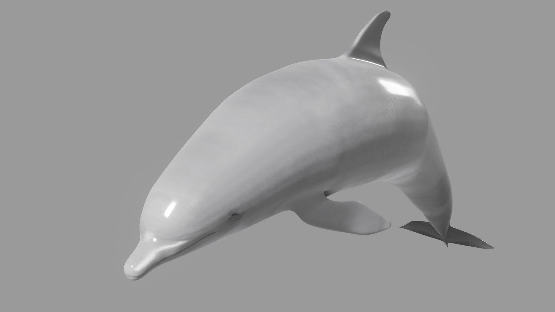Dolphin OBJ 3D Model - TurboSquid 2041239