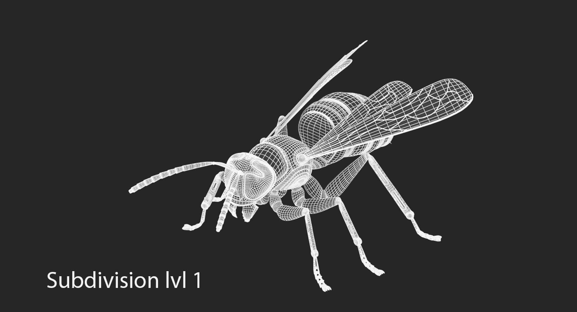 Robotic Wasp Model - TurboSquid 1248590