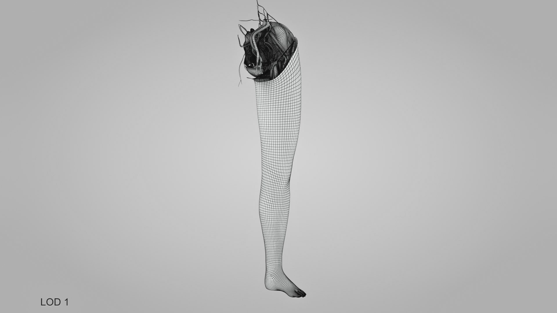 Complete Human Leg Anatomy Model - TurboSquid 1925018