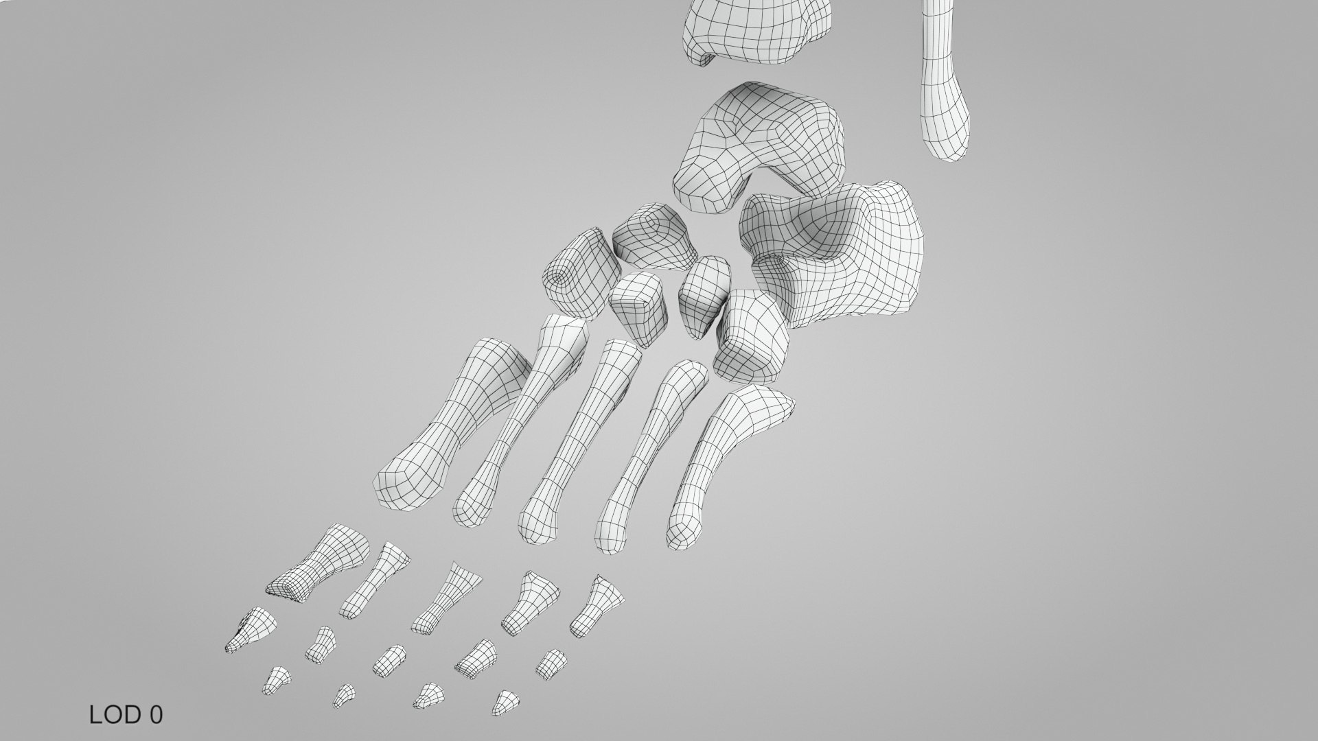 Complete Human leg anatomy model - TurboSquid 1925018