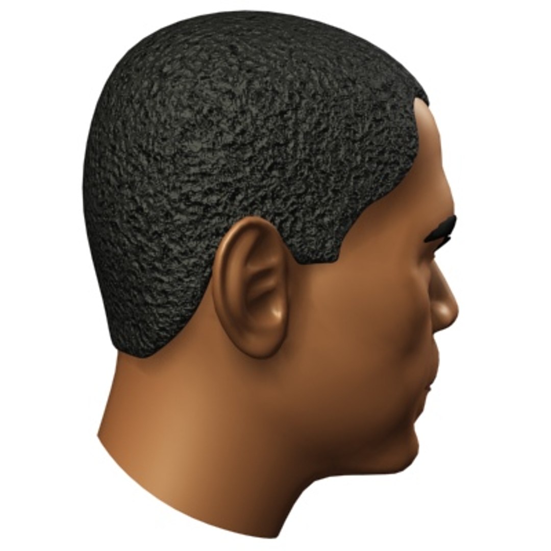 Obama Head 3d Model
