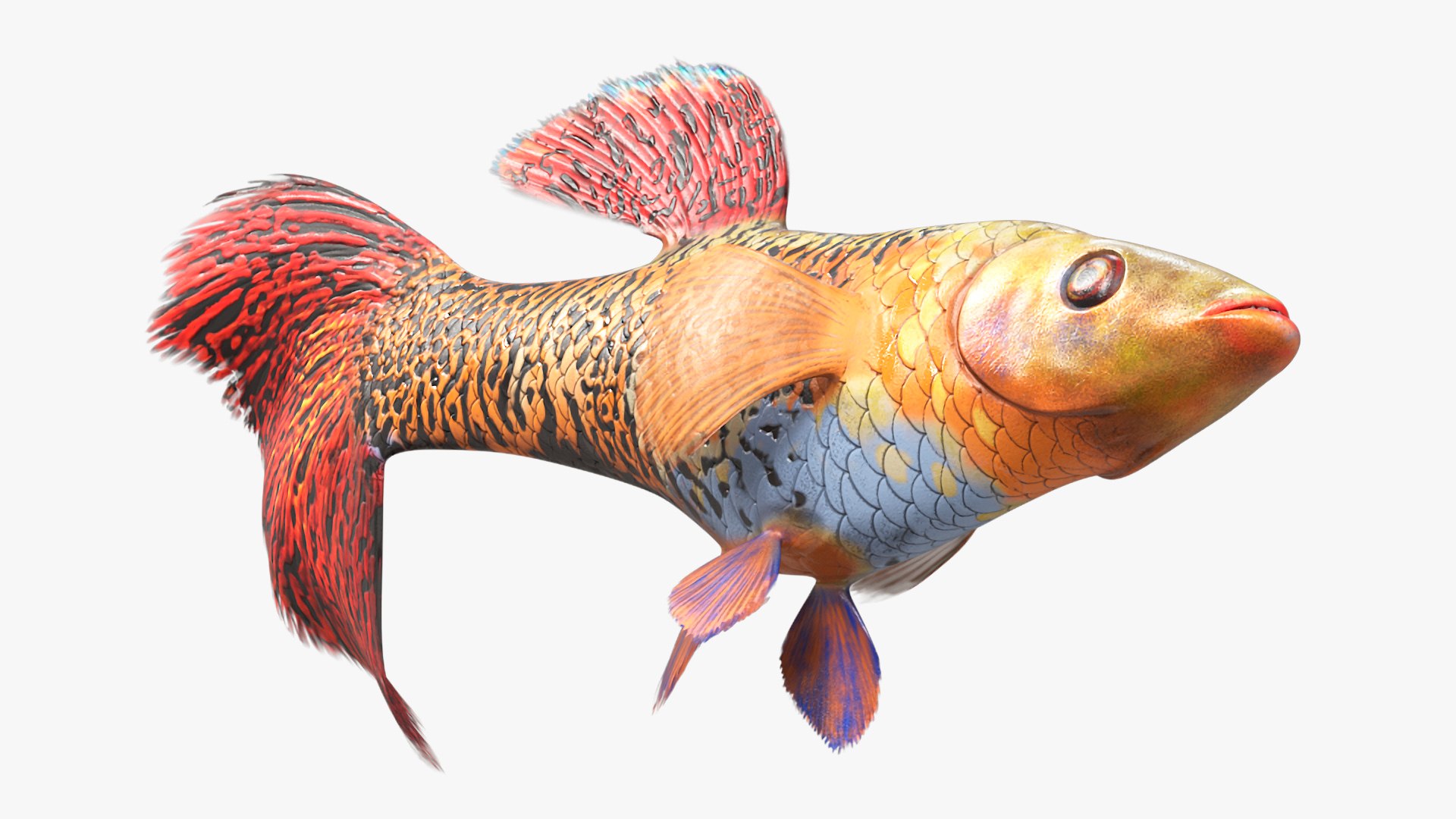 Guppy Fish Red Snake Rigged 3D Model - TurboSquid 2270722