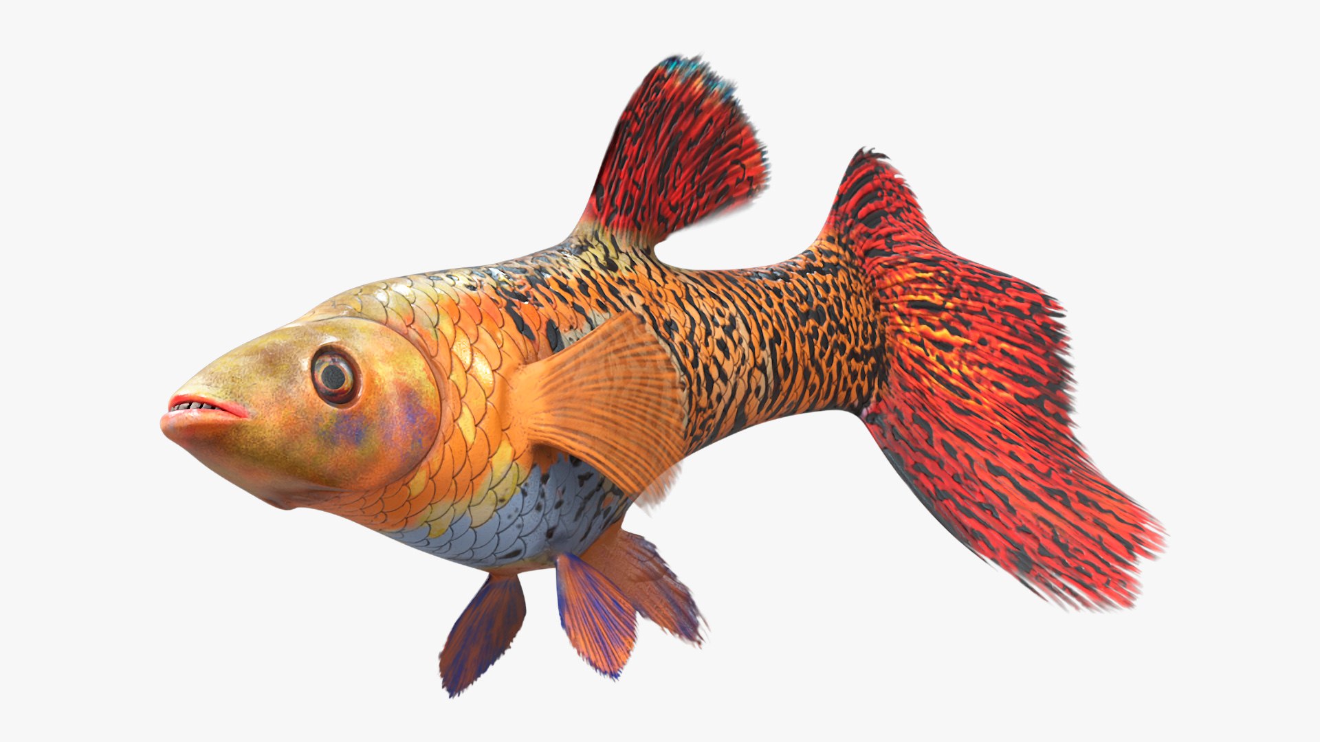 Guppy Fish Red Snake Rigged 3D Model - TurboSquid 2270722
