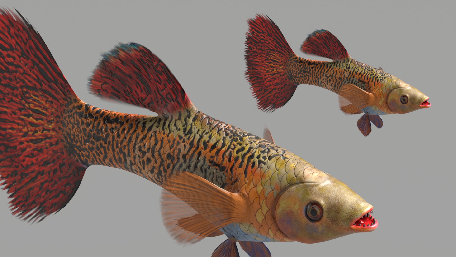 Guppy Fish Red Snake Rigged 3D Model - TurboSquid 2270722