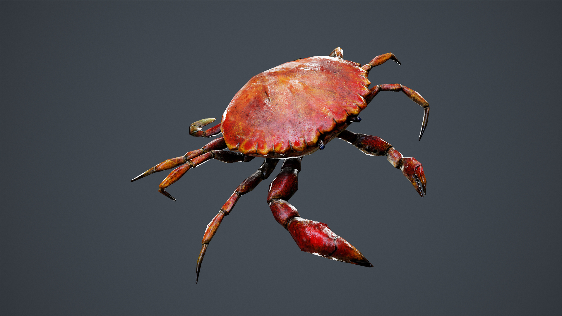 3D Crab - PBR Game Ready - TurboSquid 1892484