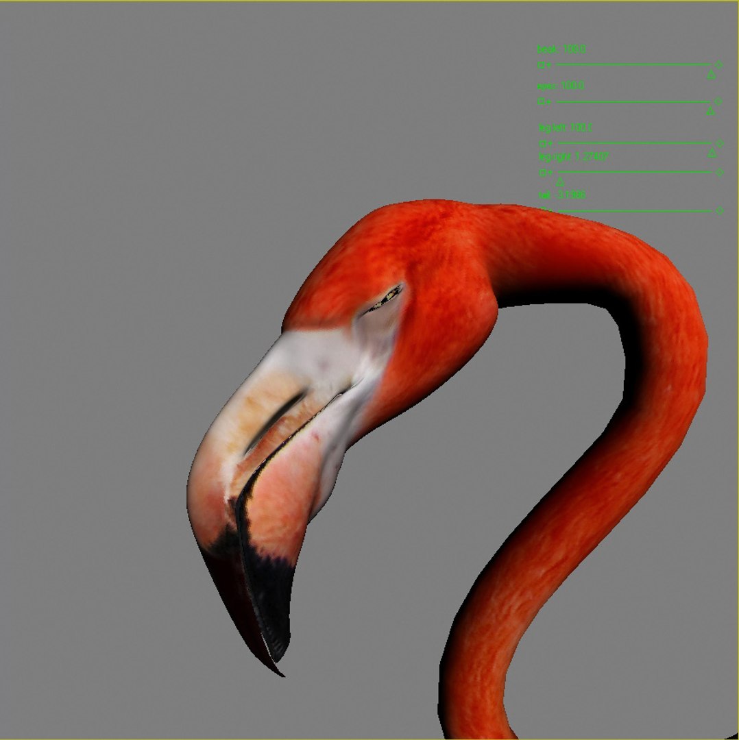 Flamingo Skinned Rigged 3d Model