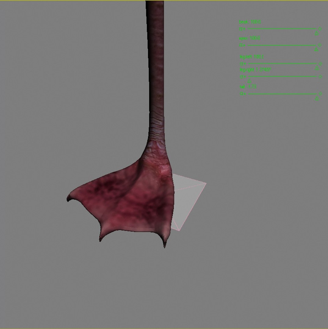 Flamingo Skinned Rigged 3d Model