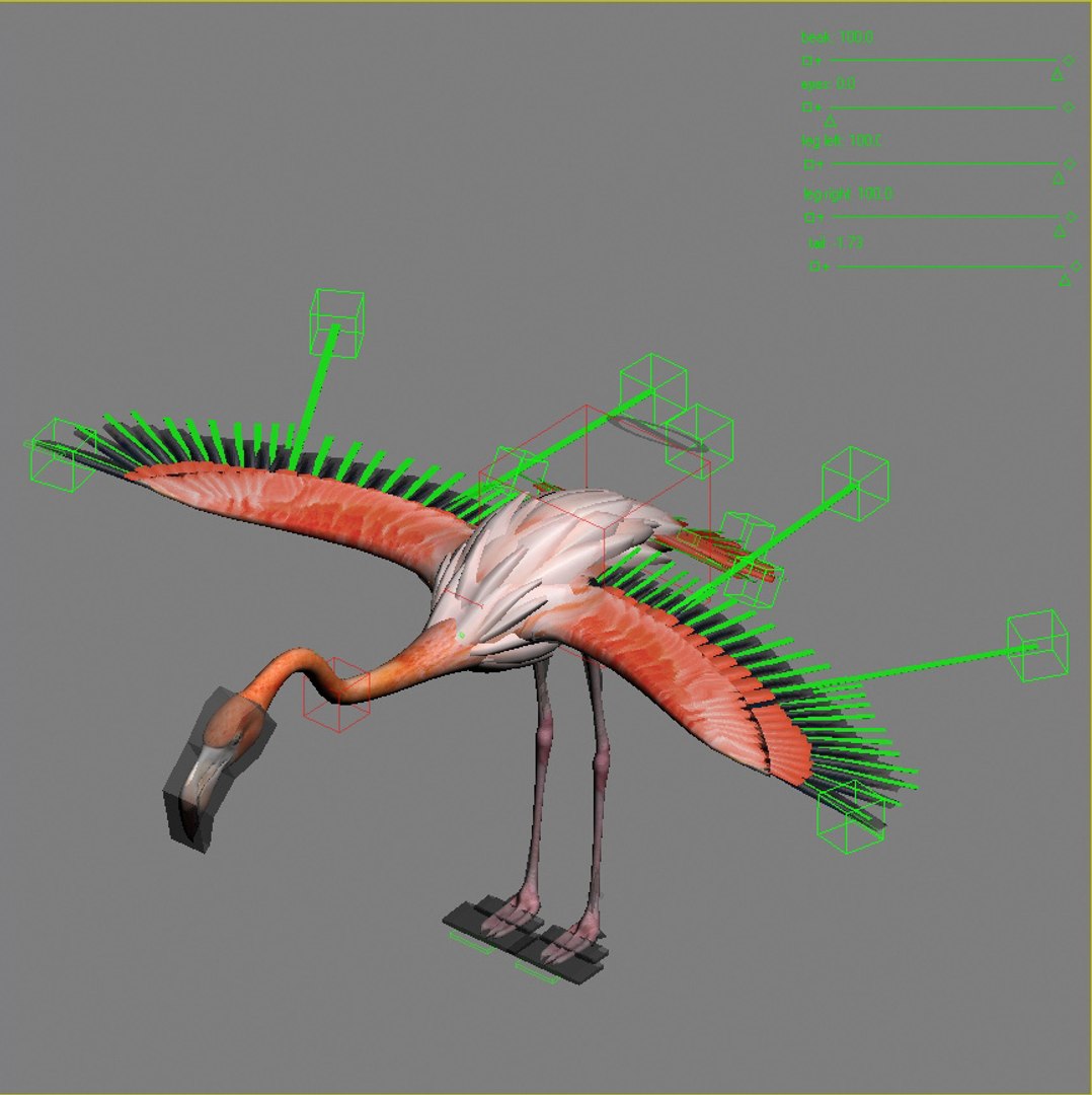 Flamingo Skinned Rigged 3d Model
