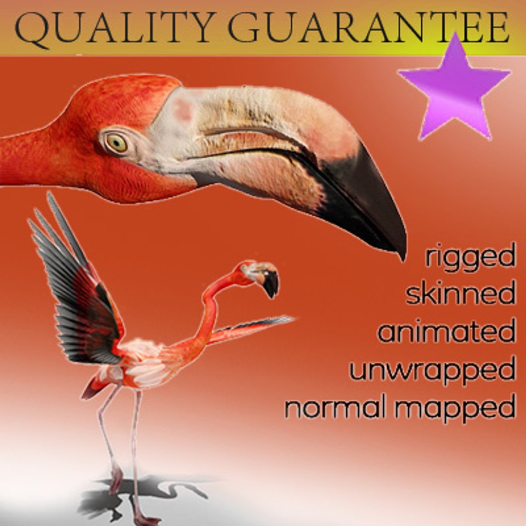 flamingo skinned rigged 3d model