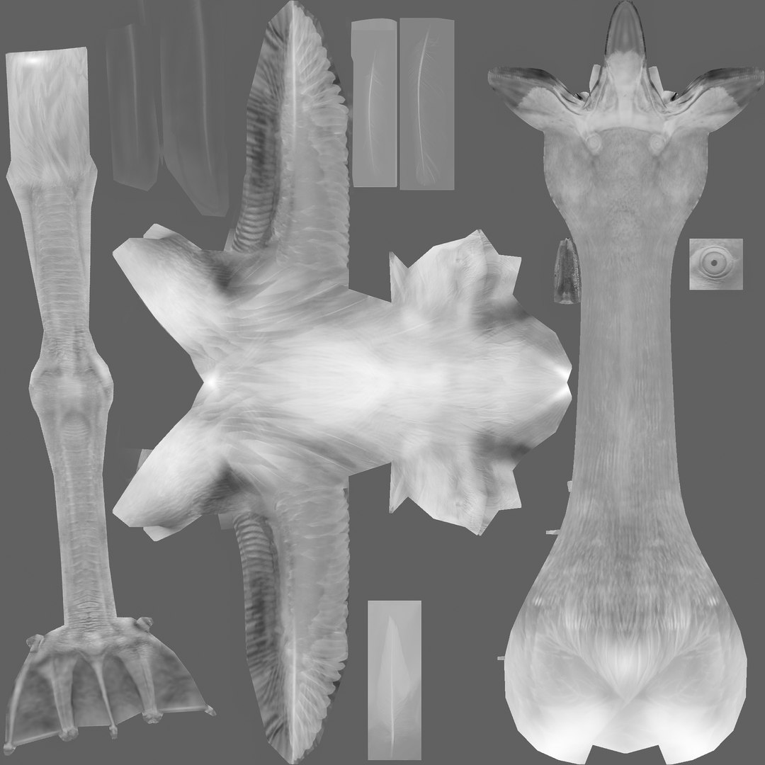 flamingo skinned rigged 3d model