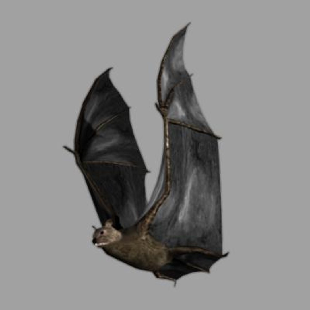 maya bat