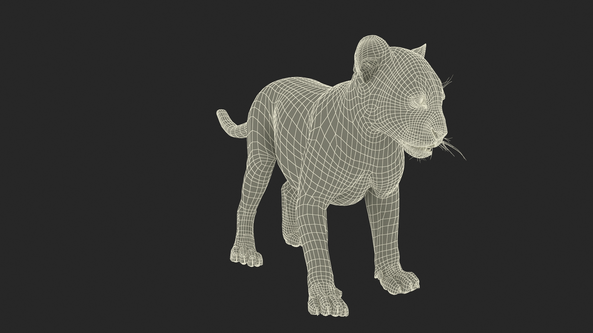 Baby Black Leopard Cub 3D Model - TurboSquid 2339691