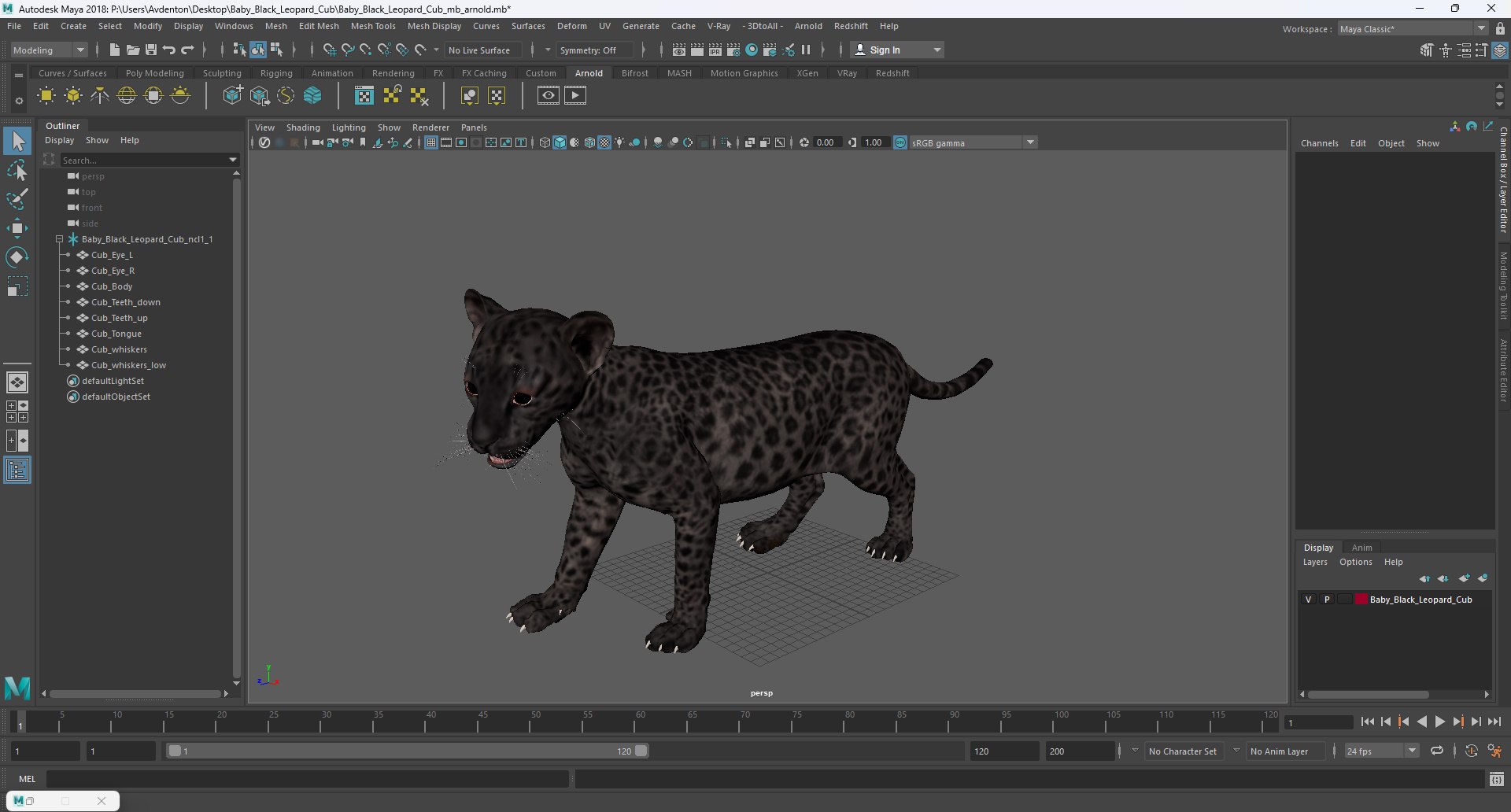 Baby Black Leopard Cub 3D Model - TurboSquid 2339691