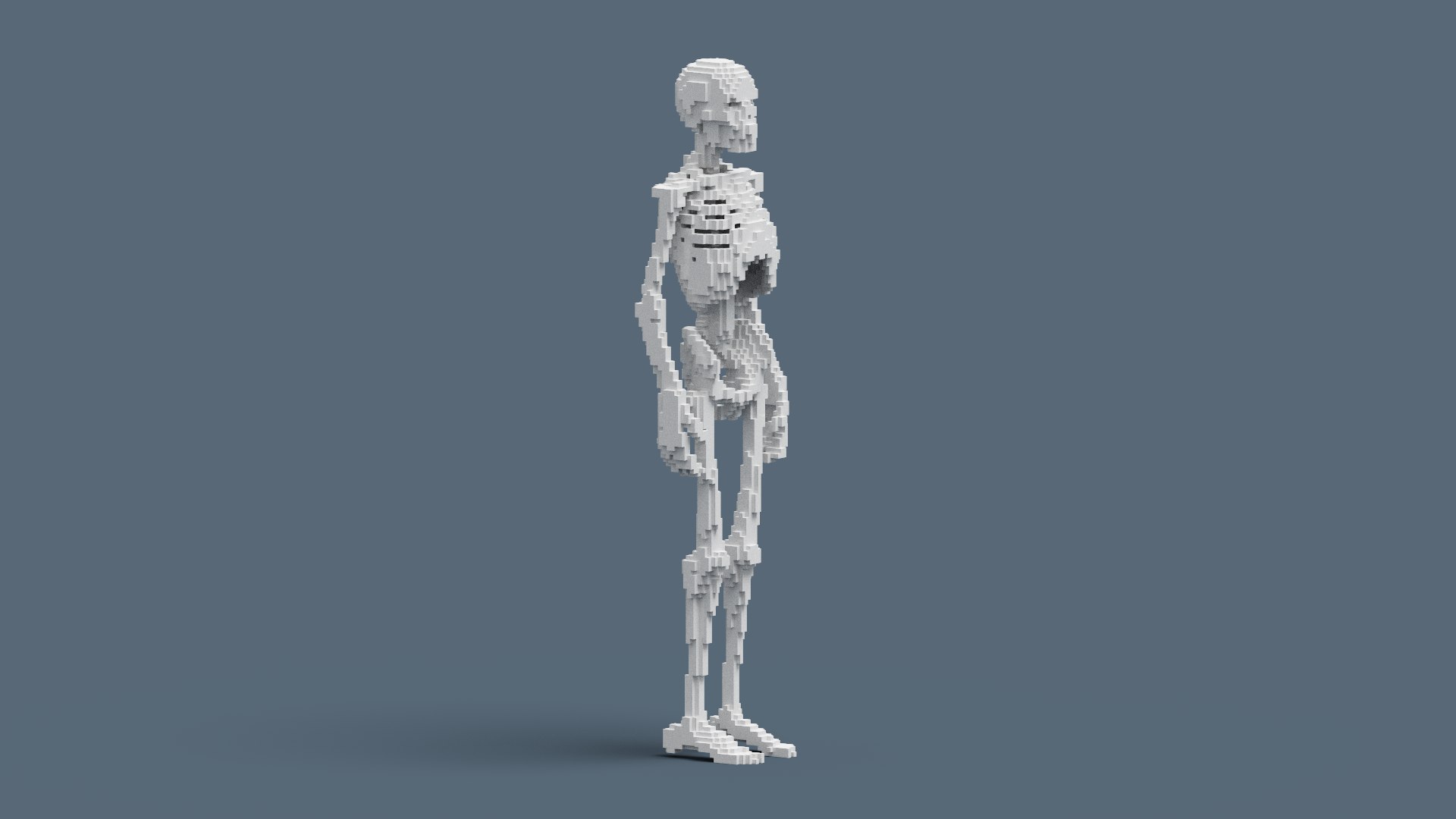 Voxel Skeleton 3D - TurboSquid 1893256