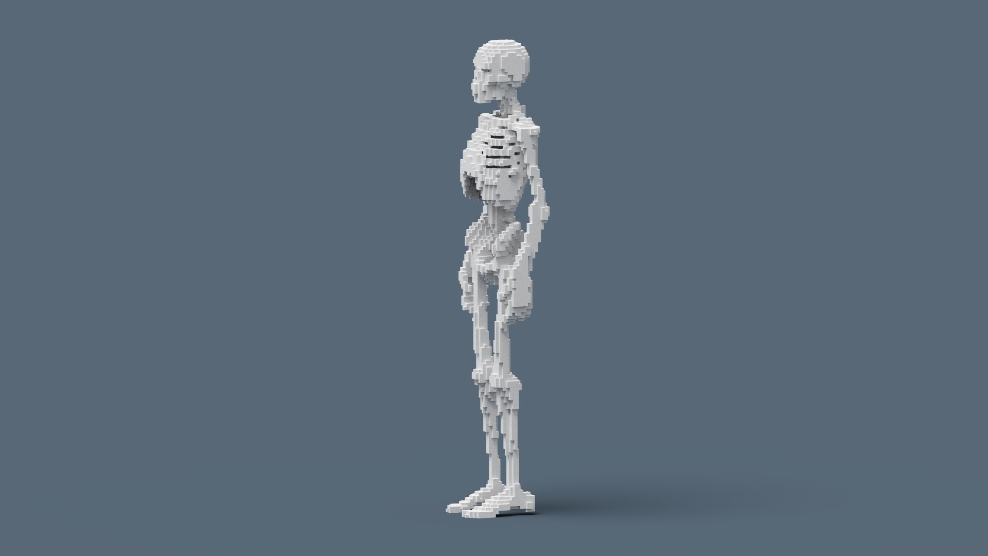 Voxel Skeleton 3D - TurboSquid 1893256