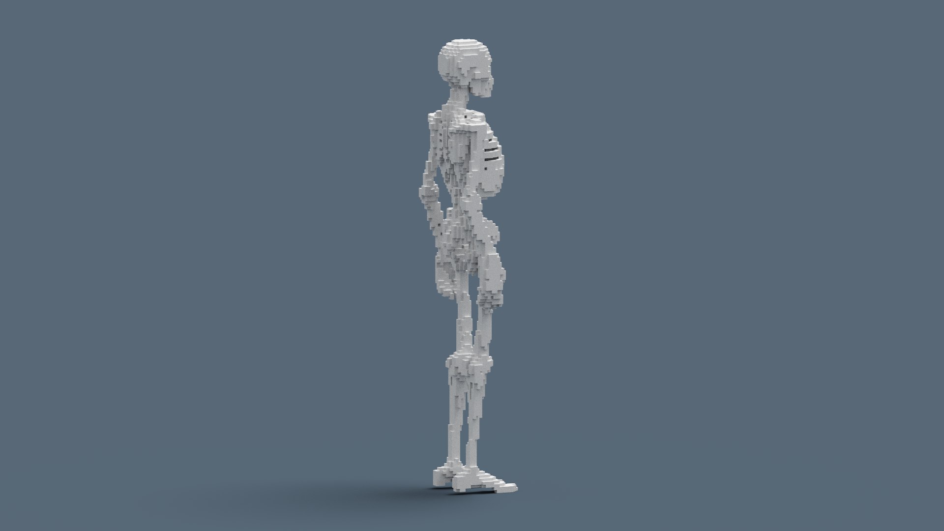 Voxel Skeleton 3D - TurboSquid 1893256