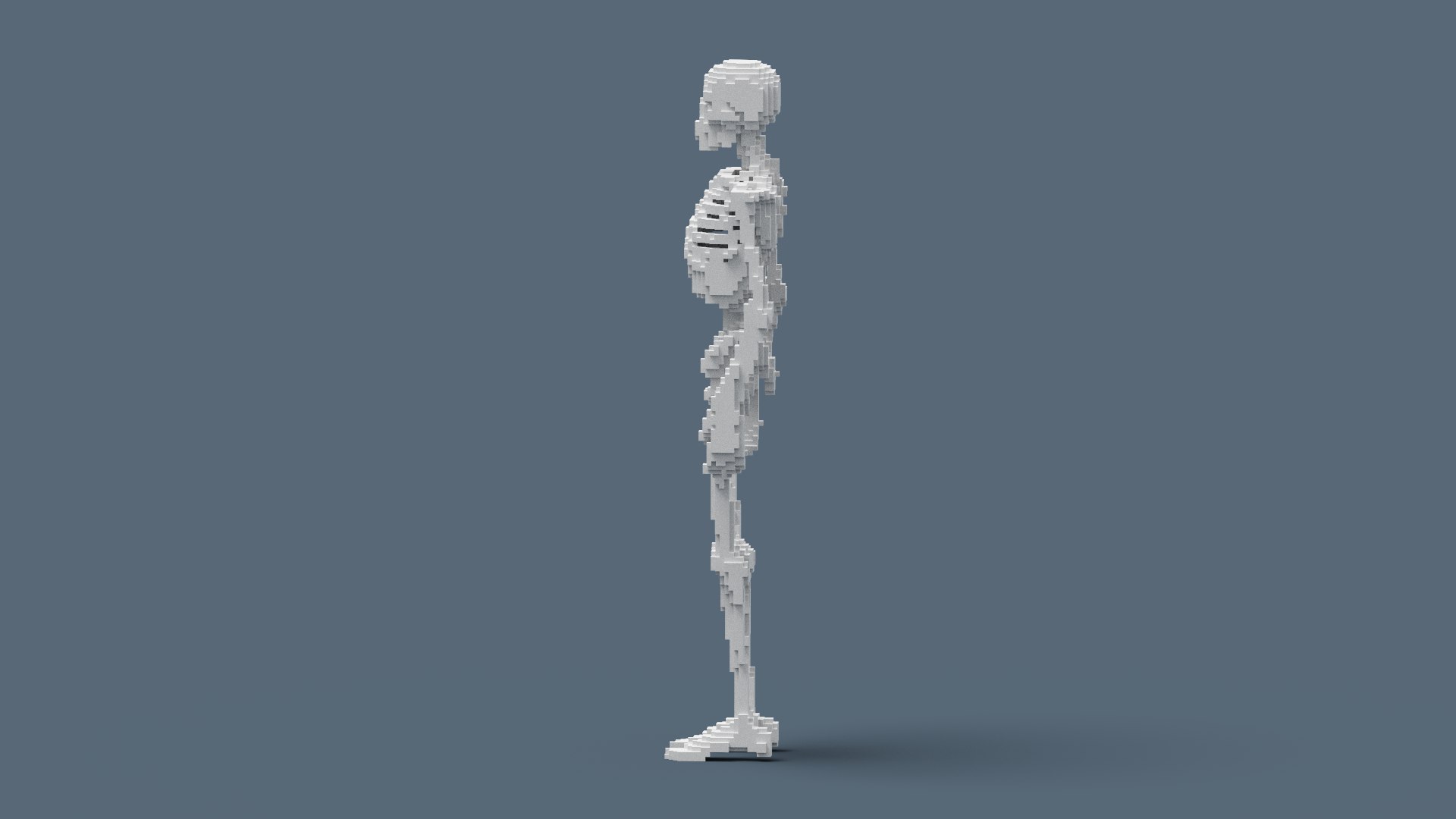 Voxel Skeleton 3D - TurboSquid 1893256