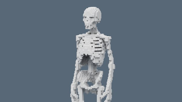 Voxel Skeleton 3D - TurboSquid 1893256