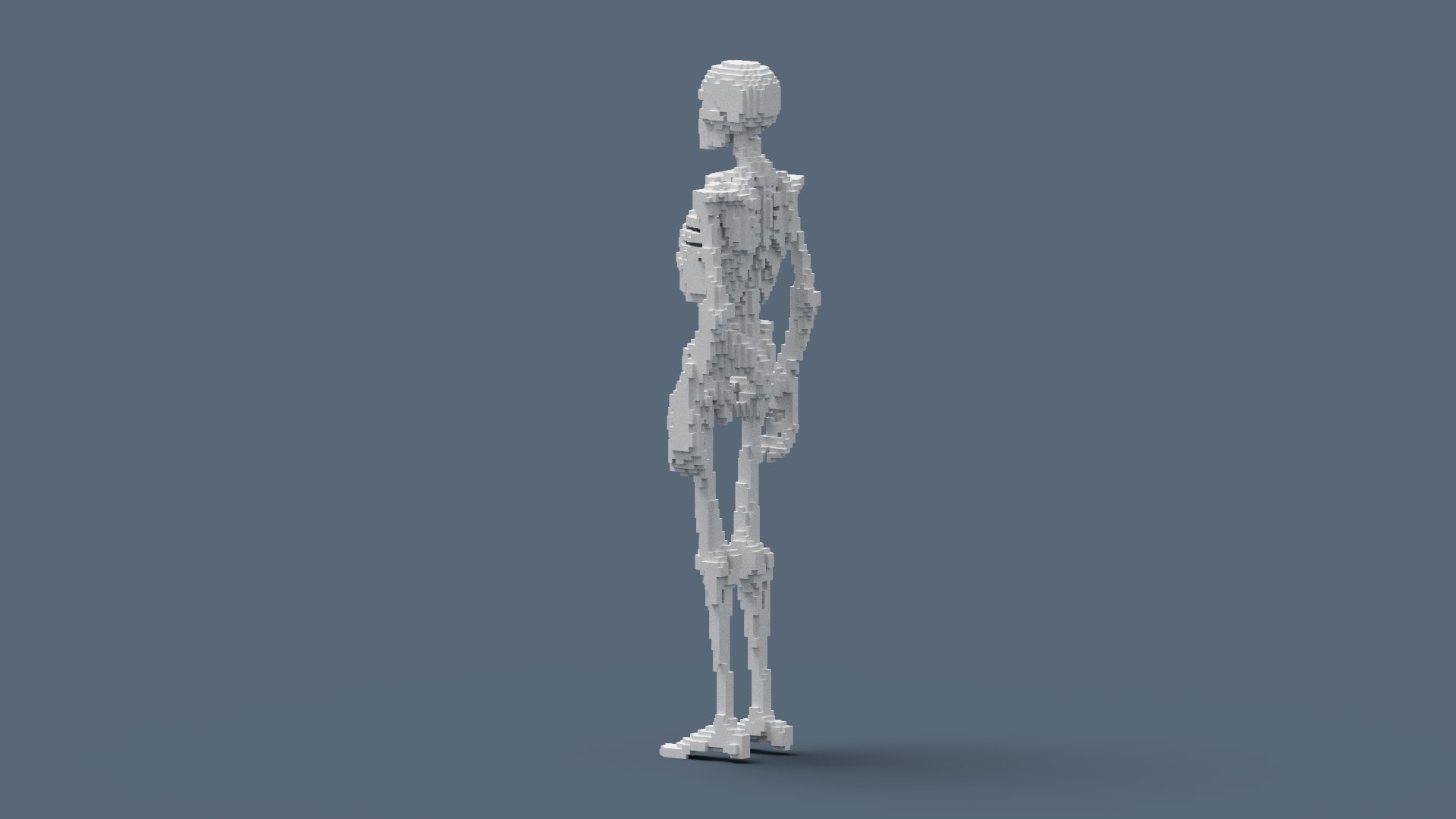 Voxel Skeleton 3D - TurboSquid 1893256