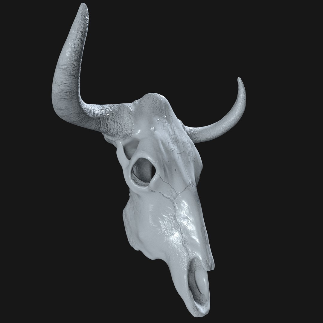 3D Bull Skull - TurboSquid 2279242