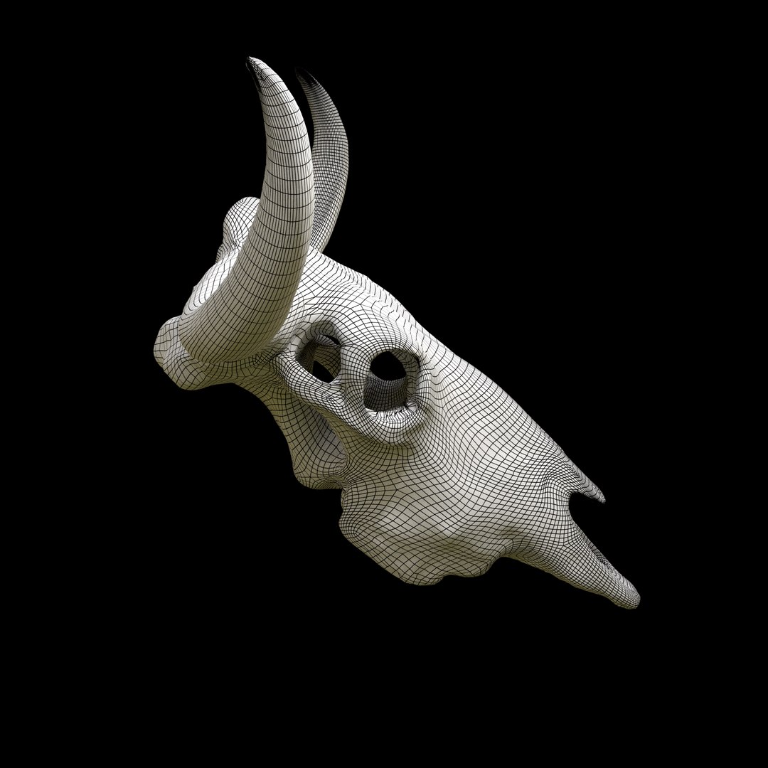 3D Bull Skull - TurboSquid 2279242